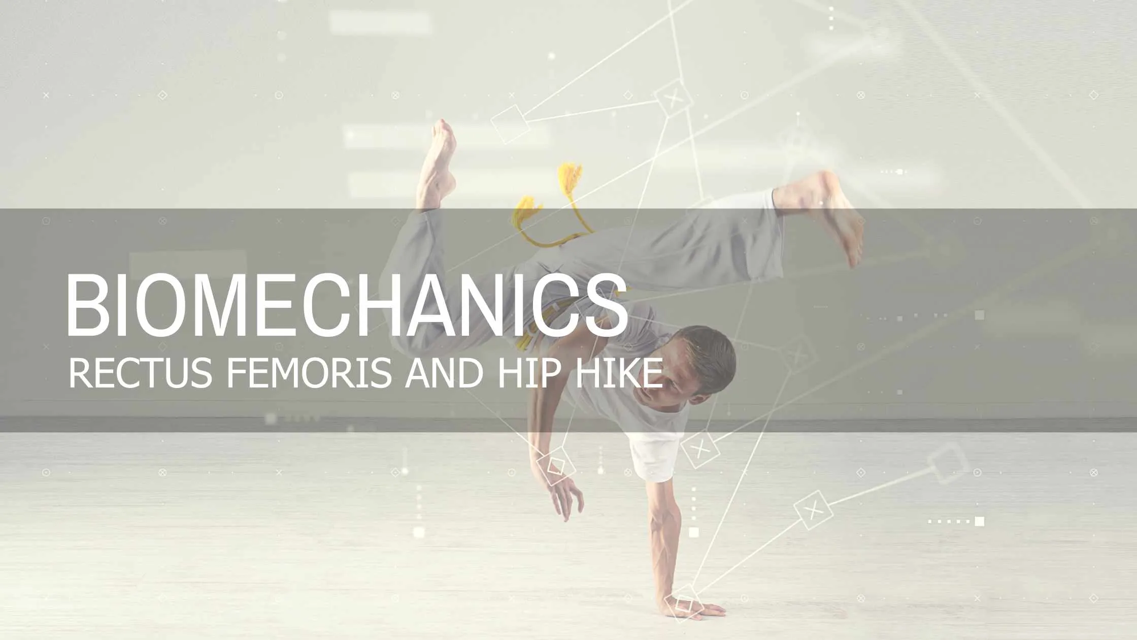 Designed to Move | Rectus Femoris and Hip Hike – Fluid Health and Fitness