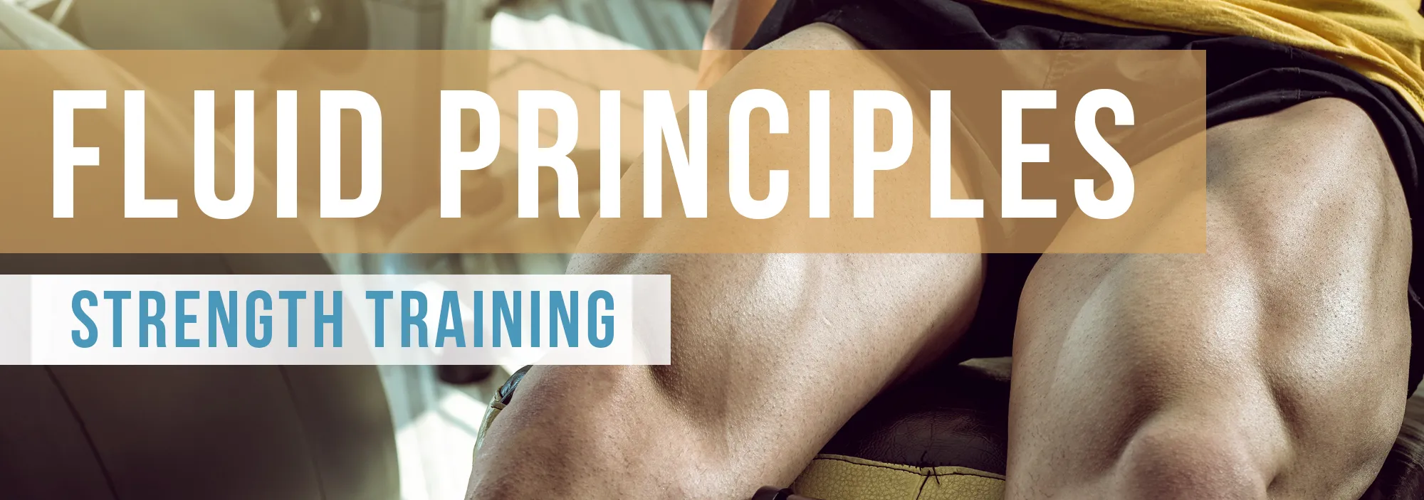 Strength Training - Fluid Health & Fitness
