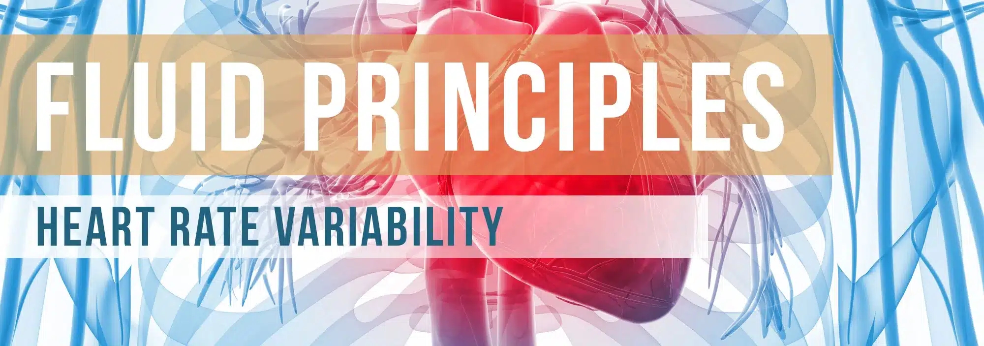 Heart Rate Variability - Fluid Health & Fitness