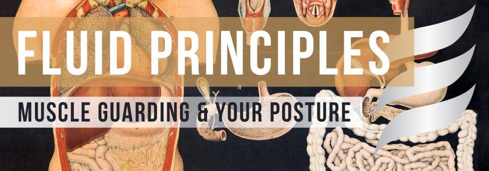Understanding the Impact of Arthrogenic Muscle Inhibition on Left ...